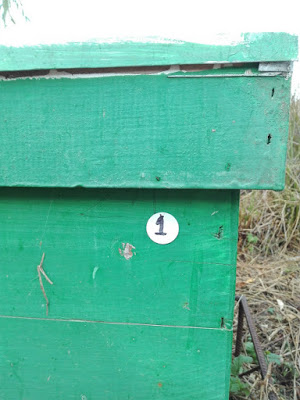 NFC Tag for hive identification - Apiary Book Blog