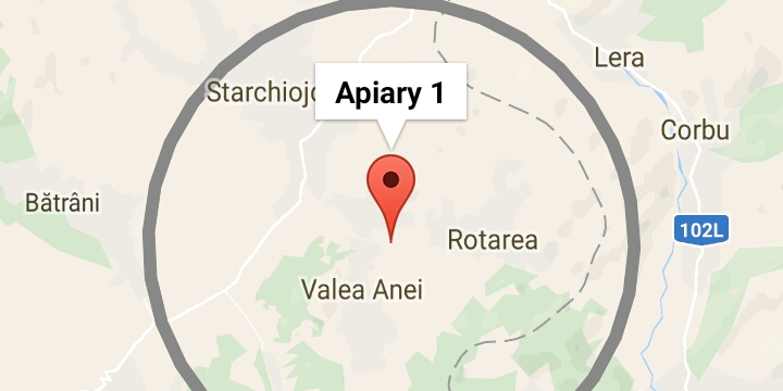 Forage area - Apiary Book Blog