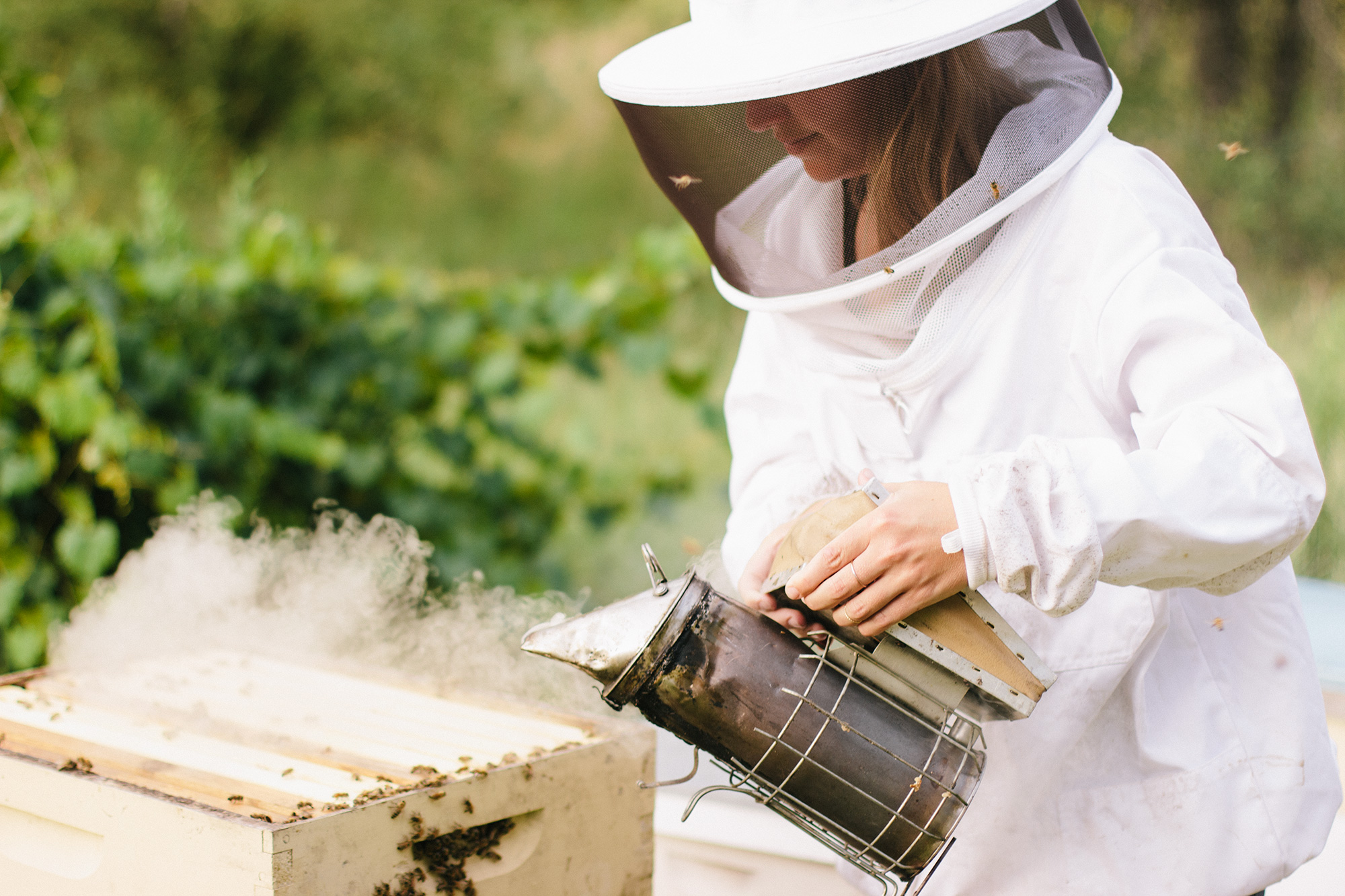 Why should you include a bee smoker in your beekeeping kit? - Apiary ...